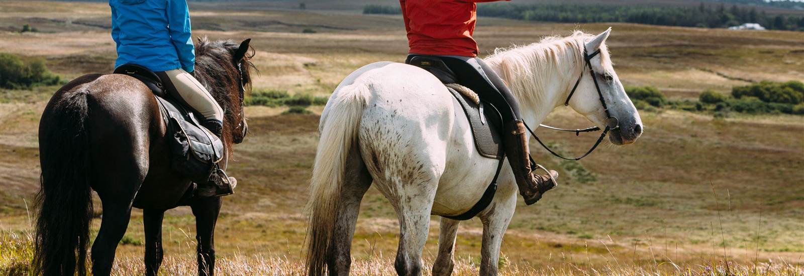 Horse Riding Lessons Donegal | Horse Riding on The Beach