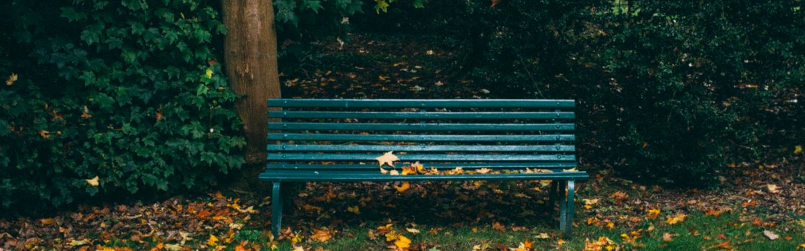 Tralee Town Park |Things To Do In Tralee |Ballyseede Castle