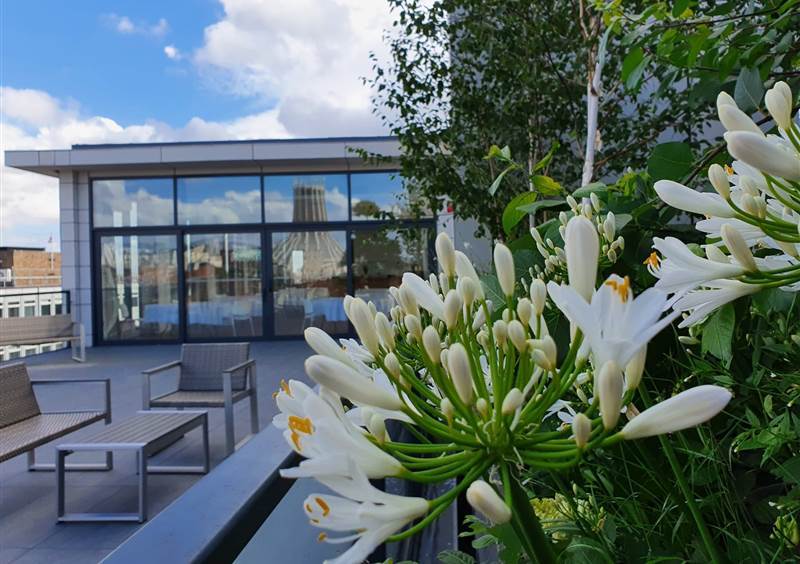 Sustainability | Hope Street Hotel